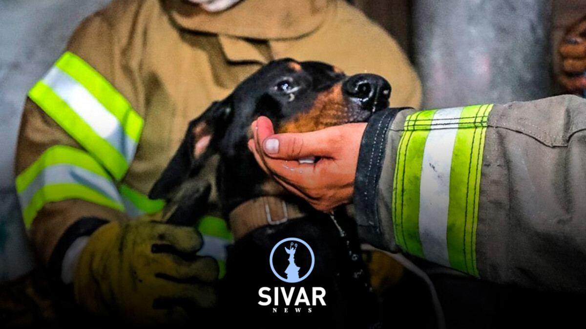 FOTOS | Perrito es rescatado de incendio en taller del bulevar Venezuela